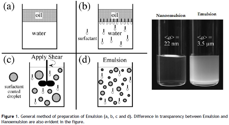Nanoemulsion technology in unani medicine